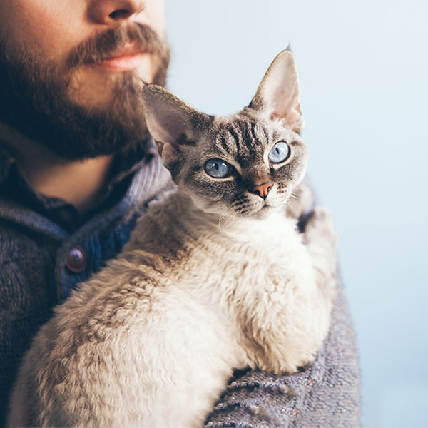 Our Story - Boise Cat Clinic