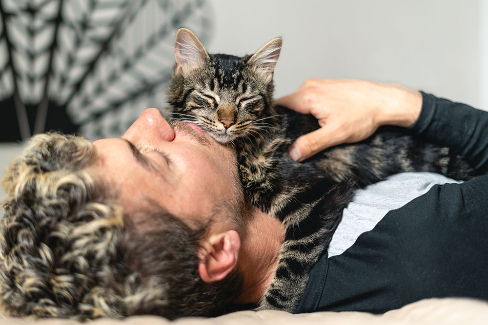 Home - Boise Cat Clinic