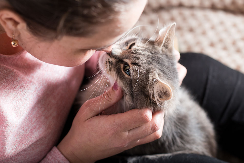 Home - Boise Cat Clinic