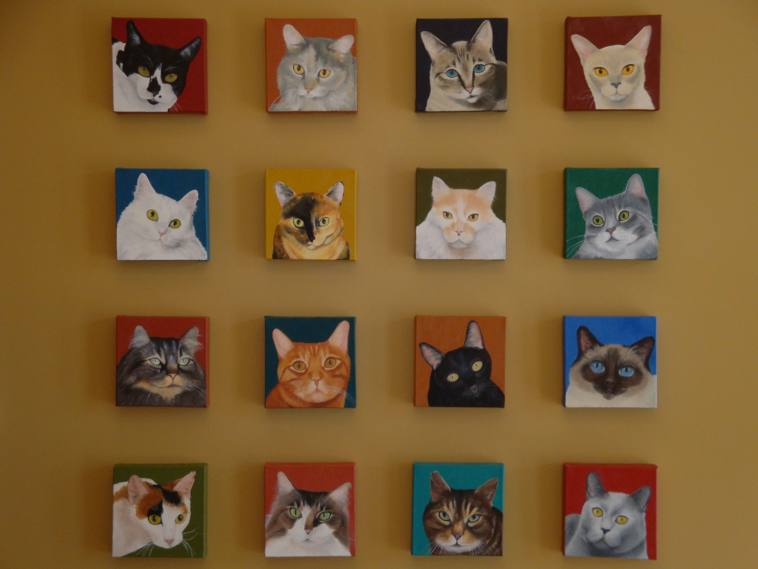 Home - Boise Cat Clinic